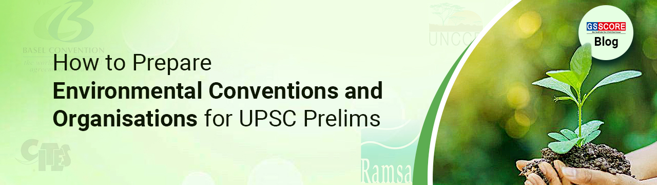 Get an in depth knowledge about Environment Conventions and ...